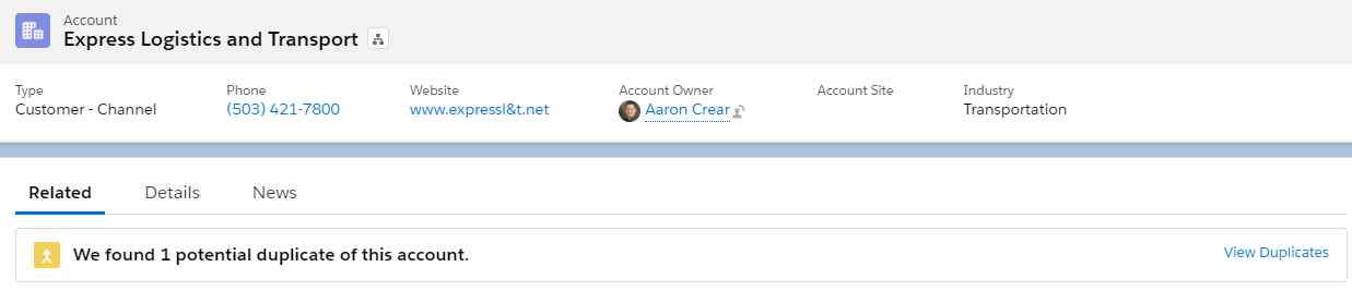 Reporting on Duplicate Records – ReportForce