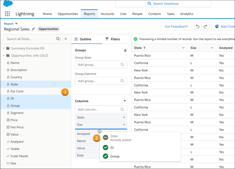 ReportForce – Salesforce reports, dashboards, and analytics