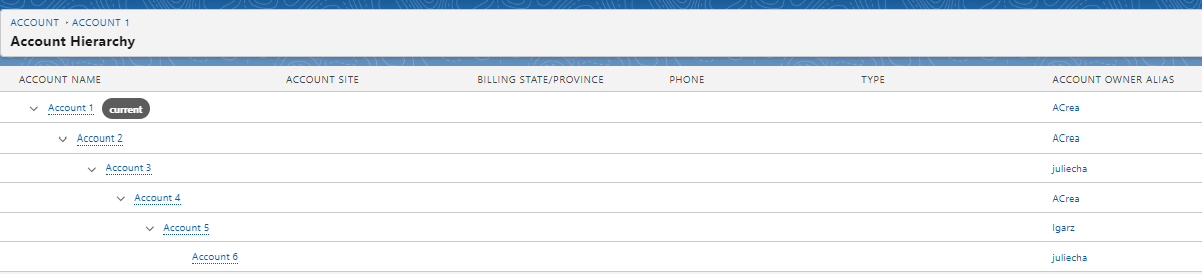 Report on Salesforce Account Hierarchy