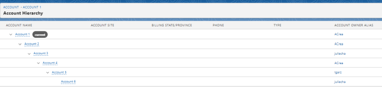 Report on Salesforce Account Hierarchy
