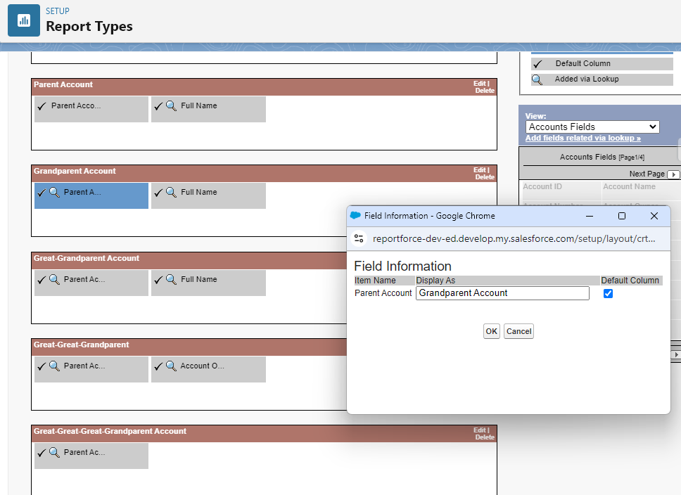 Report on Salesforce Account Hierarchy